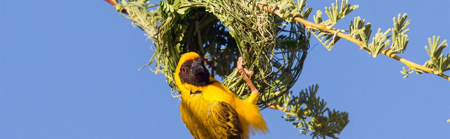 Lexcel practice management standard v6.1—Precedents content map | Legal ...