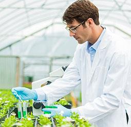 Office for Life Sciences publishes report on potential of UK HealthTech ...