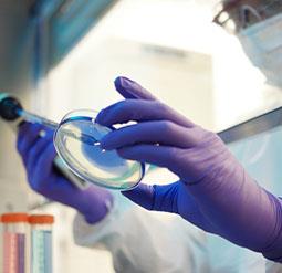 MHRA updates manufacturer's licence variation and application forms ...