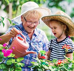 Pensions Dashboards Programme begins low volume testing of MoneyHelper ...