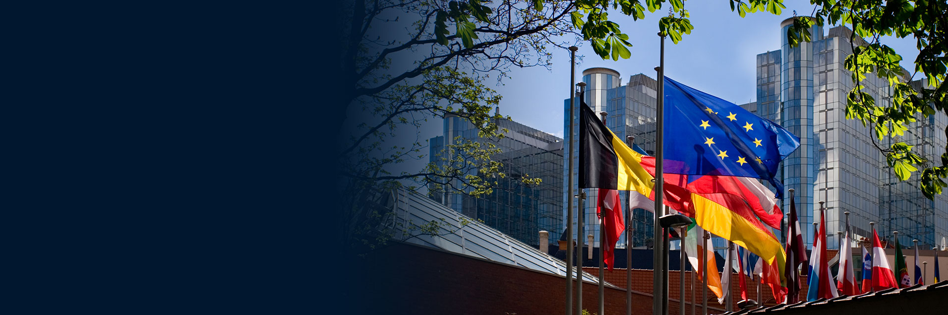 Lexis+® International | LexisNexis UK